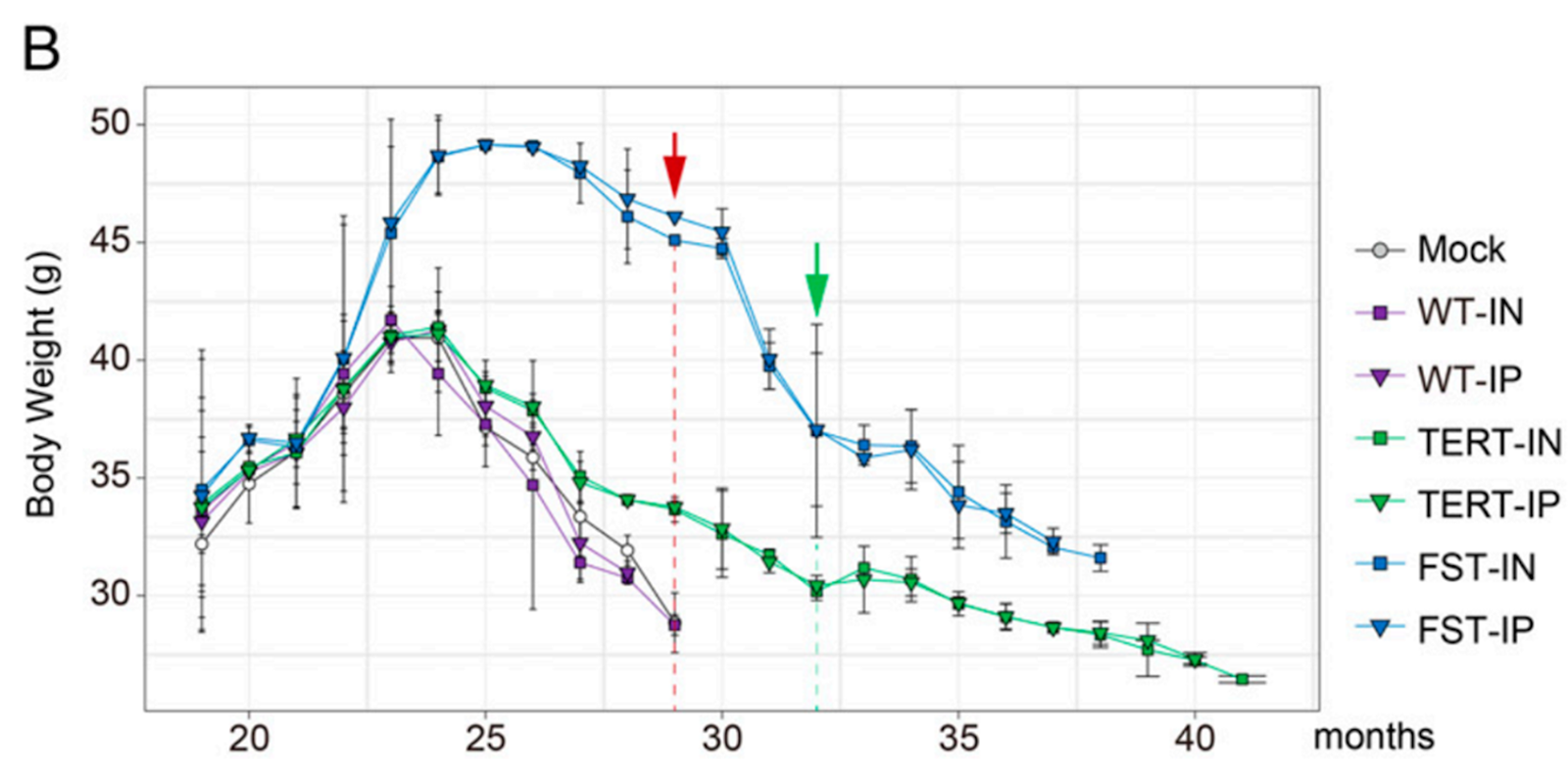 New Intranasal and Injectable Gene Therapy Prolongs Lifespan by 40%