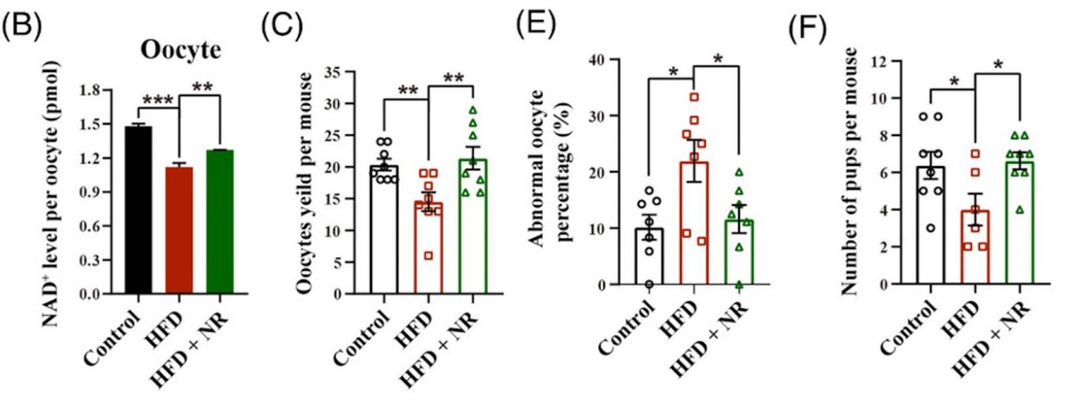 Study Shows that NAD⁺ Precursor Supplementation Decreases Obesity ...