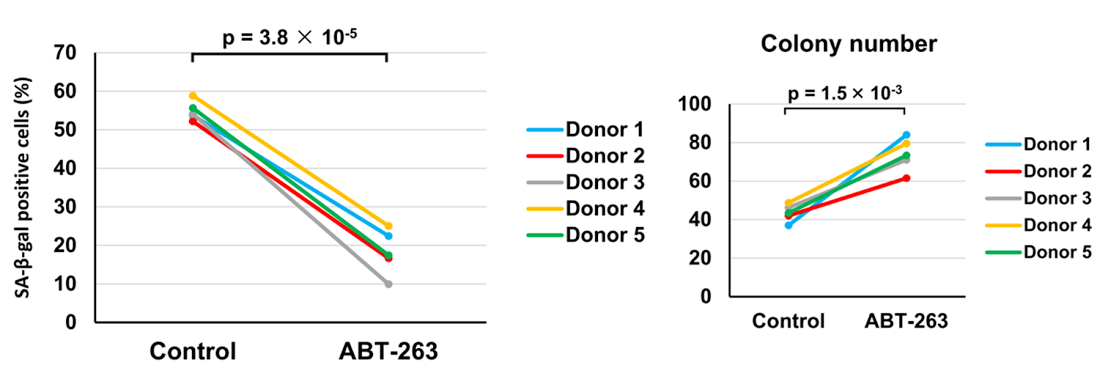 The Senolytic ABT-263 Enhances Stem Cell Function to Improve Osteoarthritis
