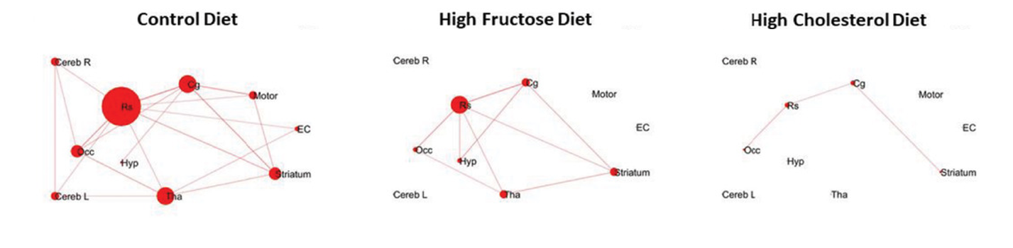 Northwestern University Researchers Trigger Alzheimer’s with High ...