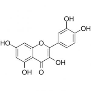 What Are Senolytics?