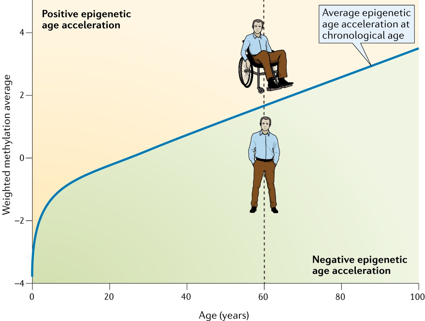 The Emergence of Cellular Reprogramming: True Age Reversal Technology