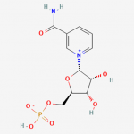 NAD⁺ Precursors: Unlocking the Fountain of Youth by Maximizing NAD+ Levels