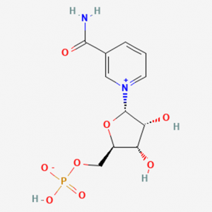 NAD⁺ Precursors: Unlocking the Fountain of Youth by Maximizing NAD+ Levels