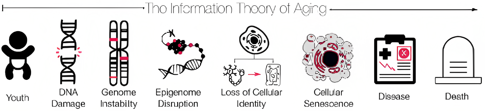 The Emergence of Cellular Reprogramming: True Age Reversal Technology