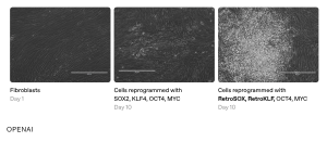 ChatGPT and Retro Biosciences: The Future of AI-Backed Age-Reversal ...