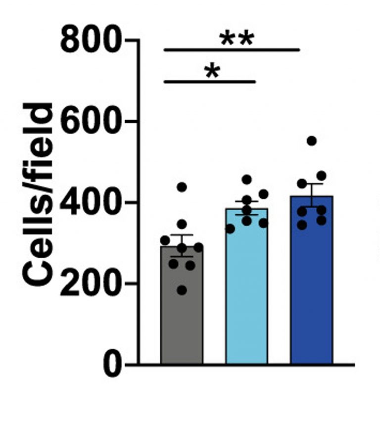 One-Time Anti-Aging Gene Therapy Treatment Prolongs Life by 20%, New ...