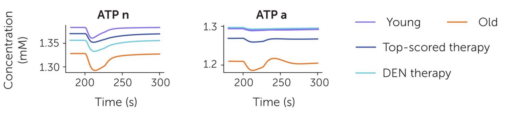 Most Comprehensive Study Places NAD+ at Forefront of Countering Brain Aging