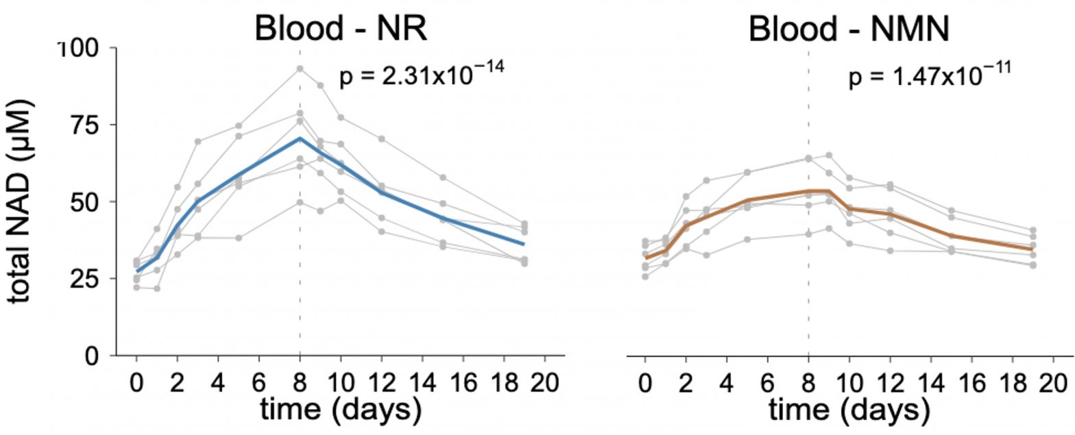 NR Raises NAD+ Over 2-Fold More than NMN: New Study Comparing NAD+ ...