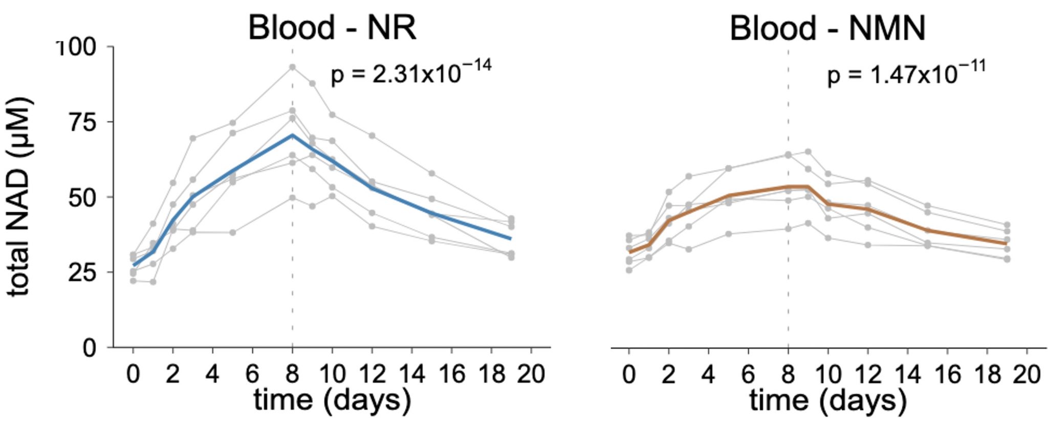 NR Raises NAD+ Over 2-Fold More than NMN: New Study Comparing NAD+ ...